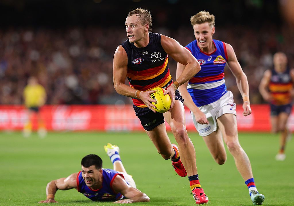 Western Bulldogs vs Adelaide Prediction & Odds - AFL Round 14 2026 - Odds