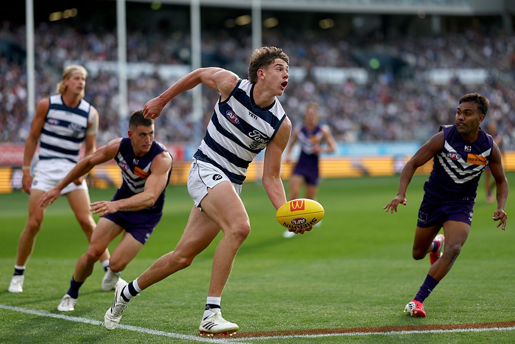 Fremantle vs Geelong Prediction & Odds - AFL Round 15 2026 - Odds